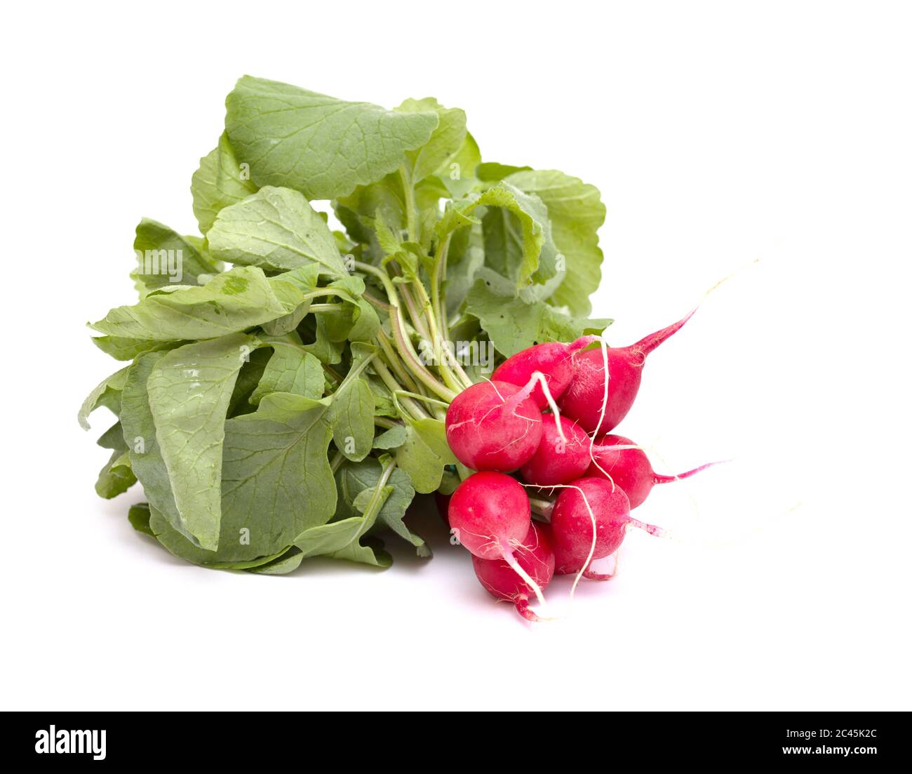 fresh red radish isolated on white background Stock Photo - Alamy