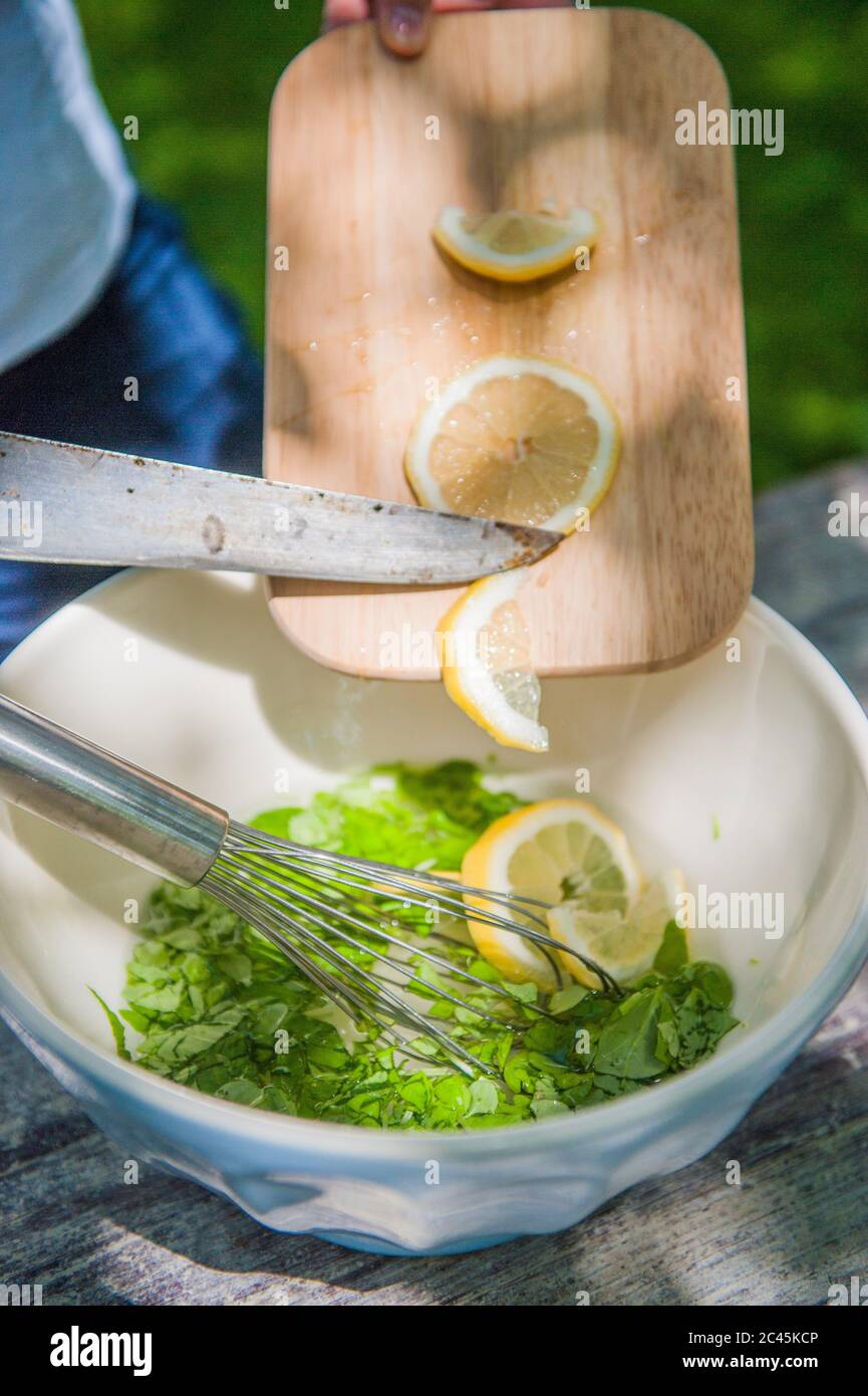 Lemon slices are placed in a bowl with herbs Stock Photo - Alamy
