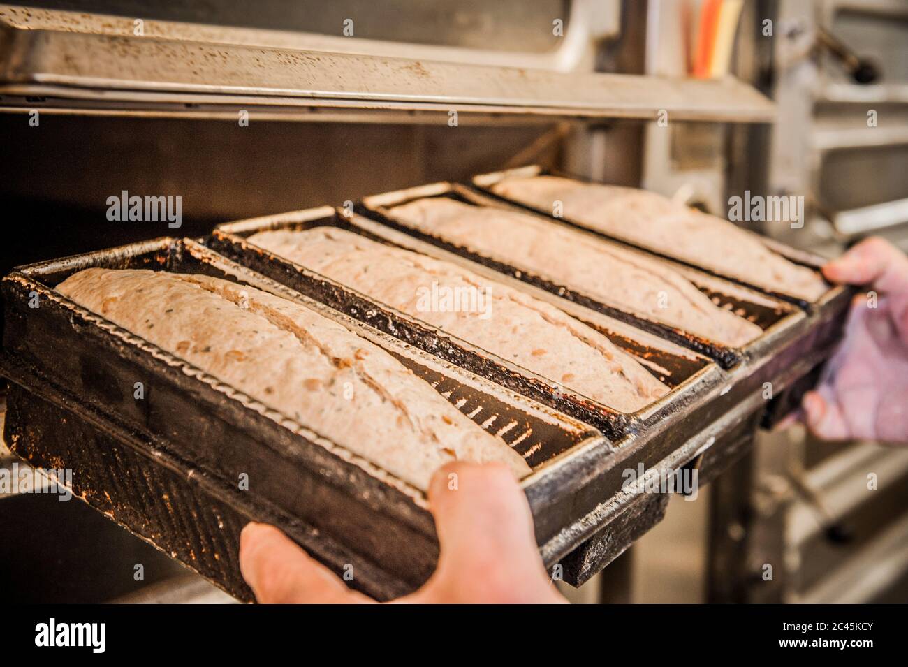 Loaves of bread in box shapes in a bakery Stock Photo - Alamy