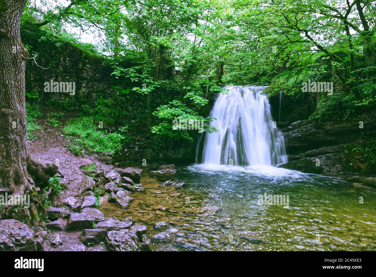 Janet's Foss waterfall, Malham, Yorkshire, UK Stock Photo - Alamy