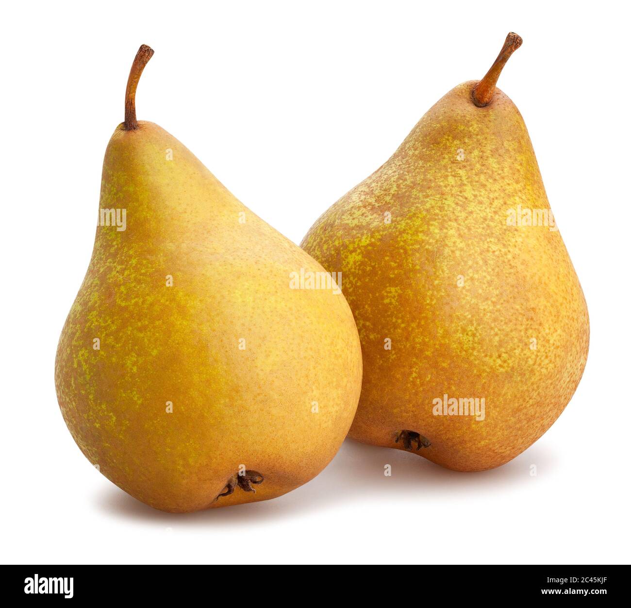 Two bosc pears hi-res stock photography and images - Alamy