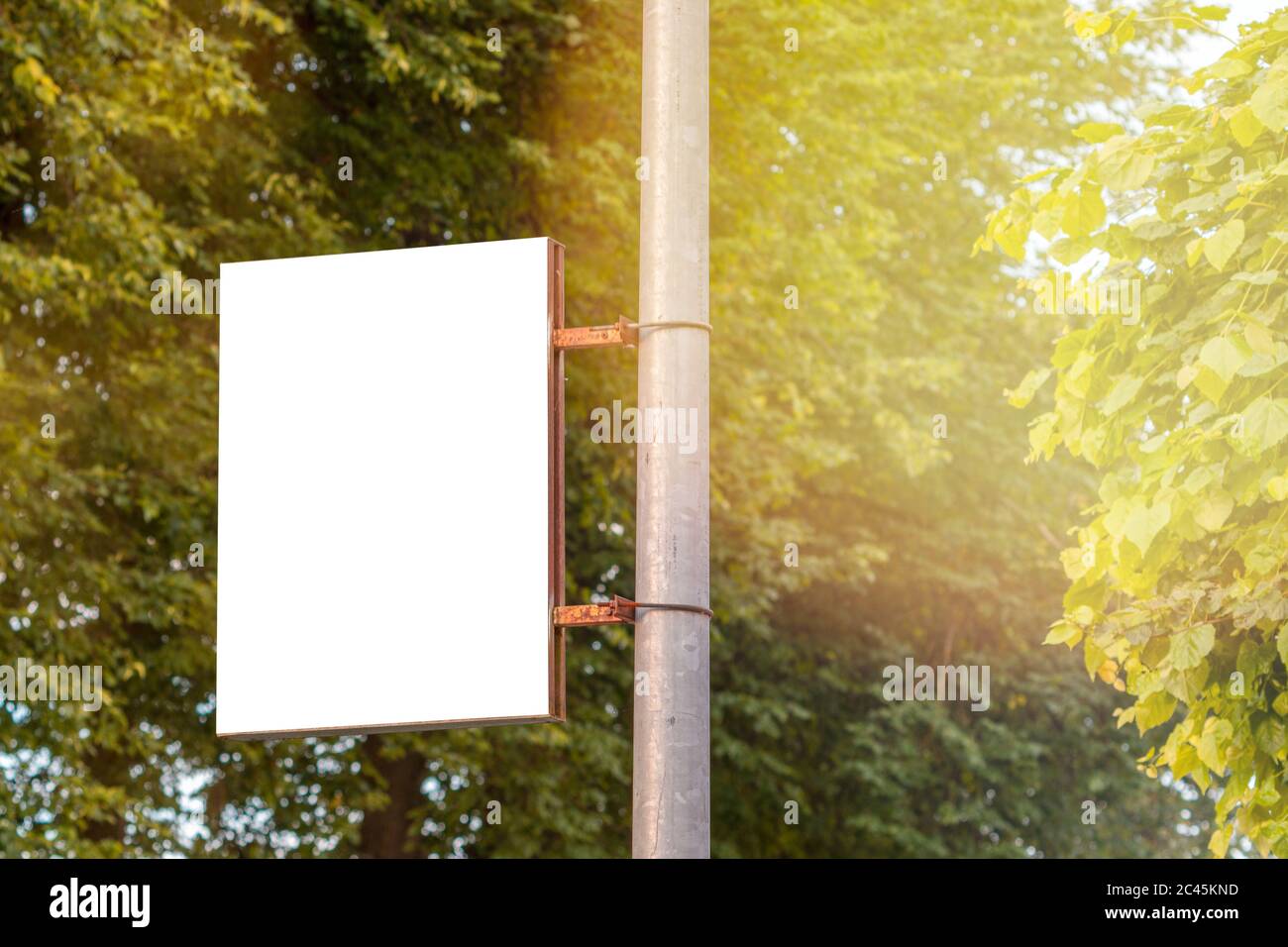 The blank advertising banner suspended on the street lamp pole with the ...