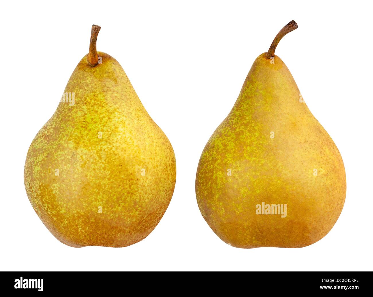 Two bosc pears hi-res stock photography and images - Alamy