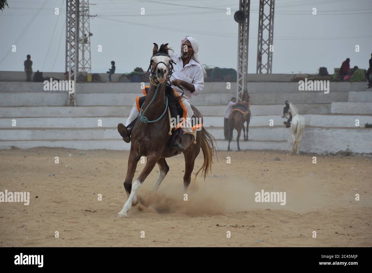 Horse dancing, Pushkar camel fair, India Stock Photo - Alamy
