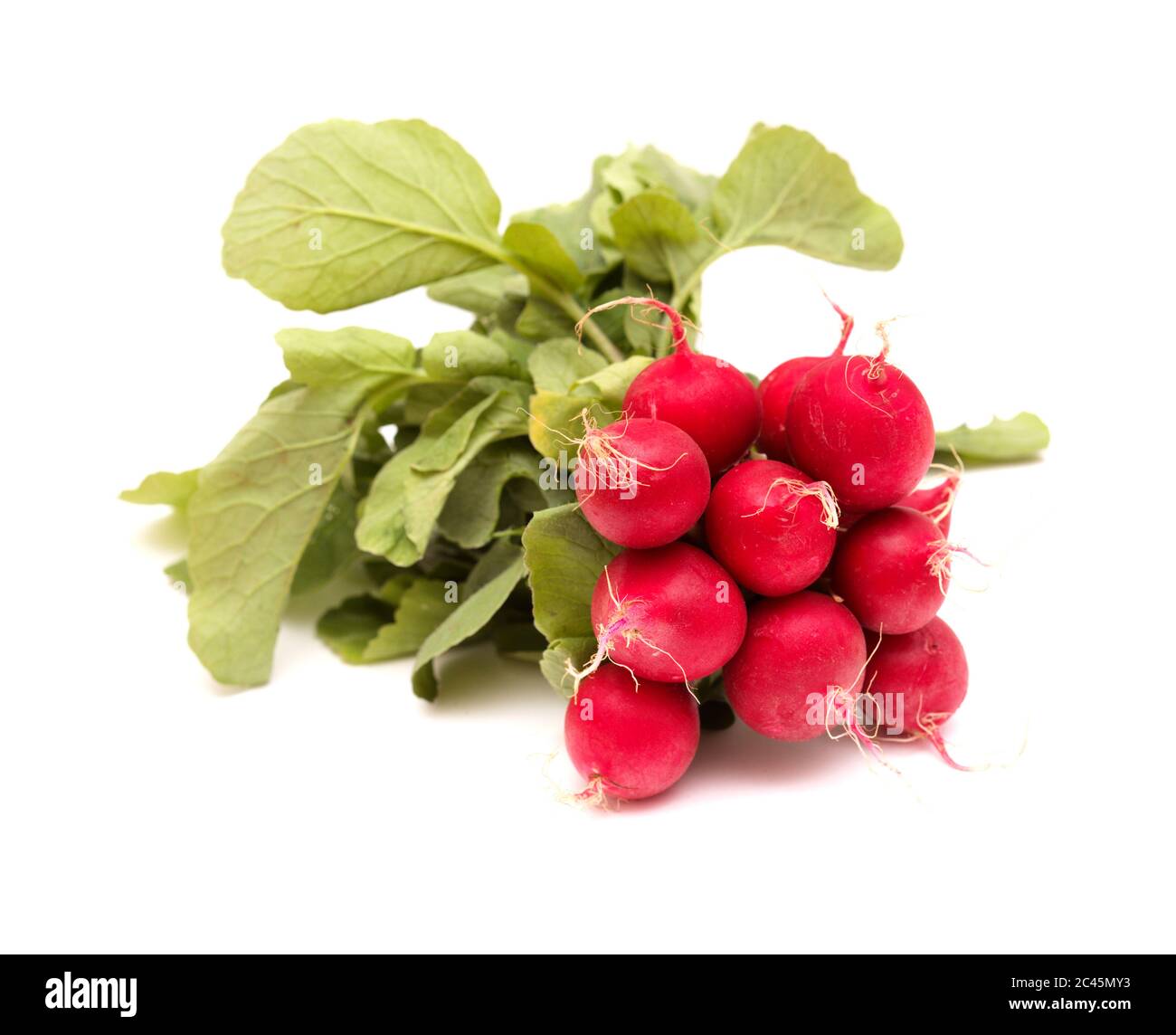 fresh red radish isolated on white background Stock Photo - Alamy