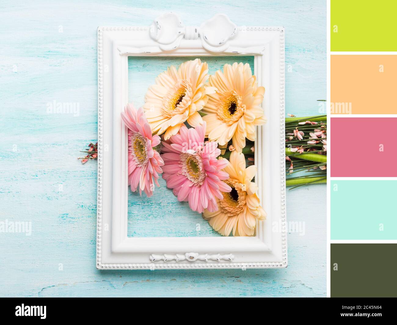 Beautiful flowers in frame on green. Color swatch Stock Photo - Alamy