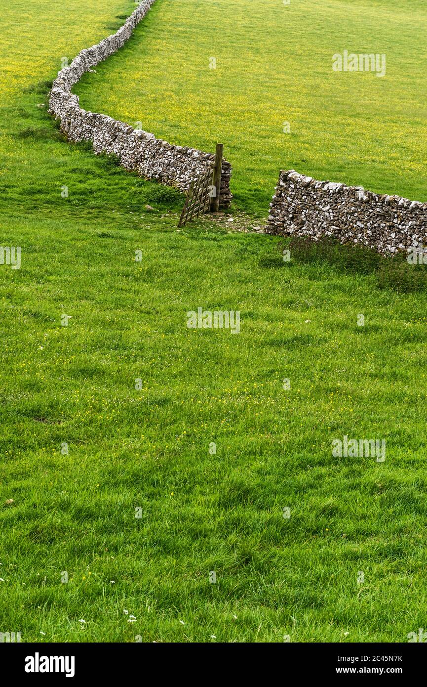 Landscape with stone walls in Yorkshire Dales National Park, England ...