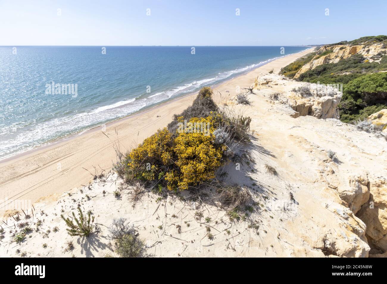 Amazing shot of a sandy beach on a beautiful seascape background Stock ...