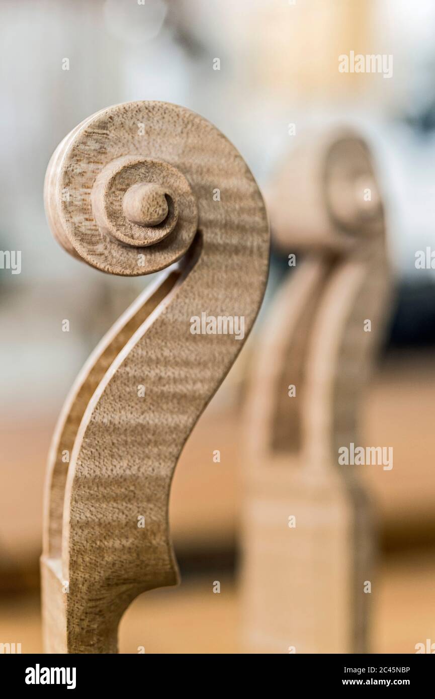 Violin snail hi-res stock photography and images - Alamy