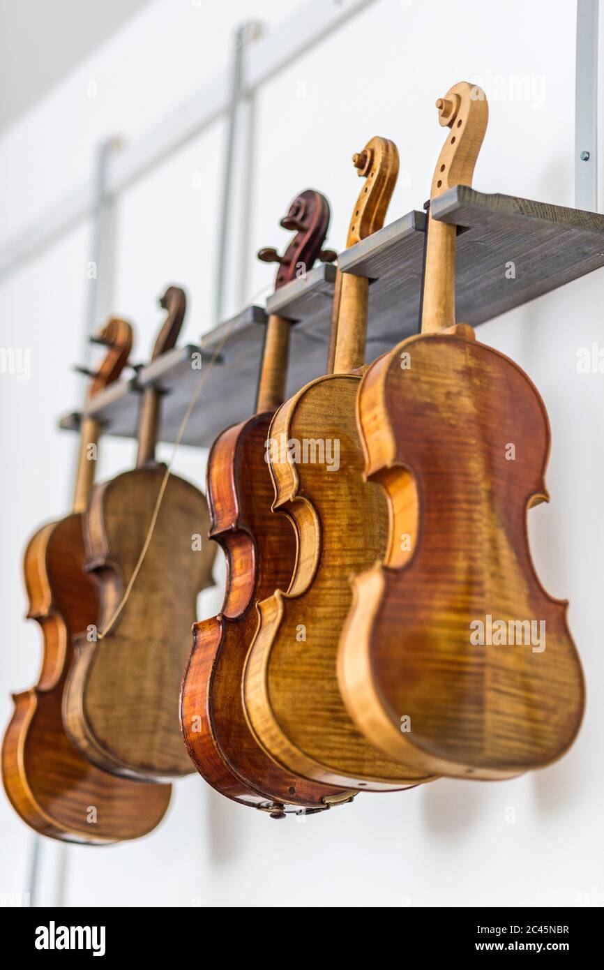 Violins hang in the workshop of a violin maker Stock Photo - Alamy