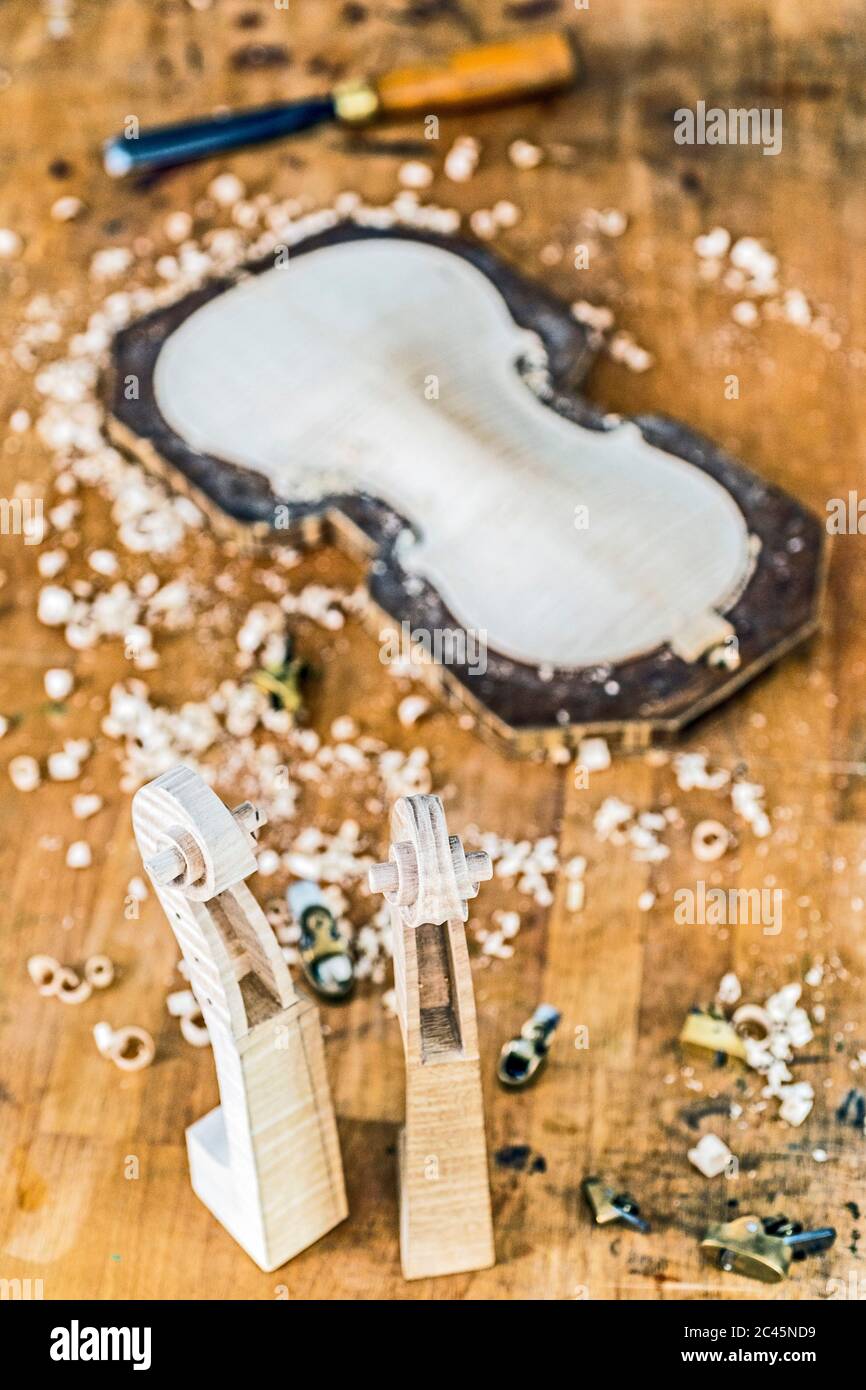 Unfinished violin snail, violin body and wood shavings, close-up Stock ...