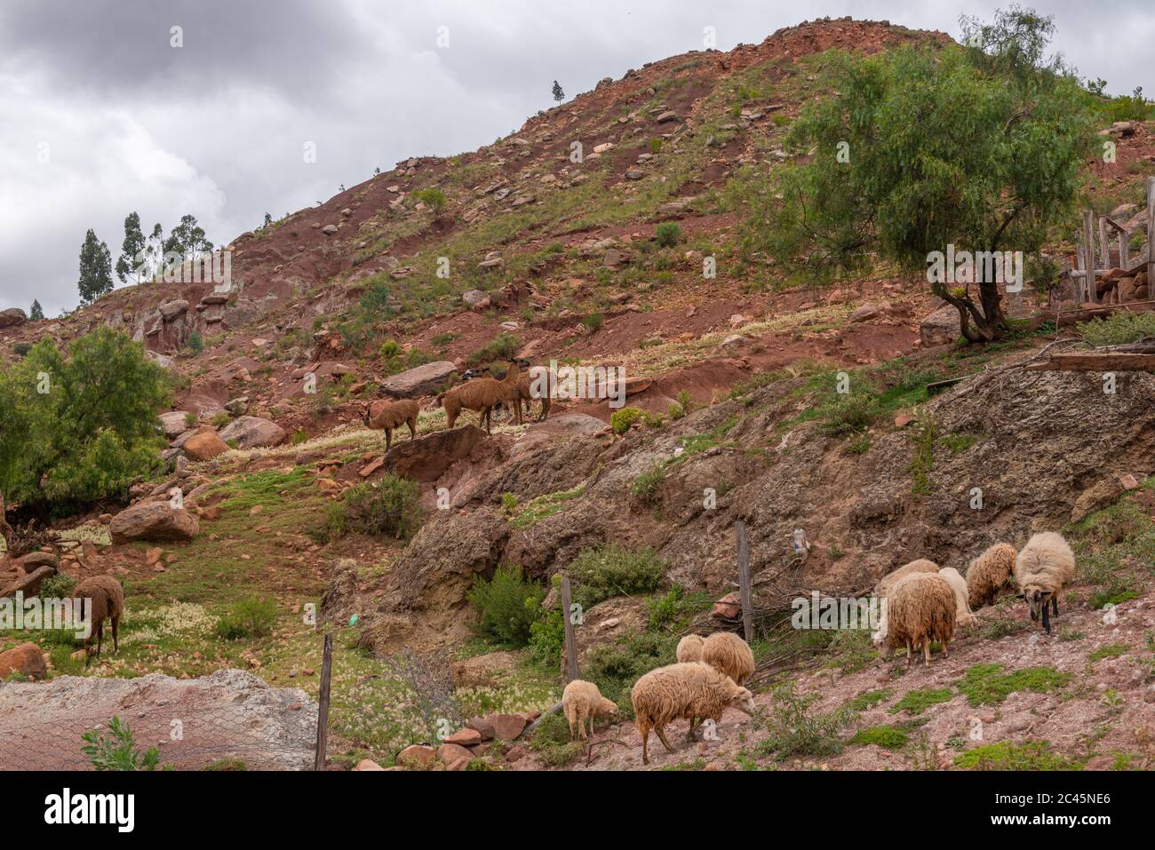 Village of Potolo, Departamento Chuquisaca, Municipio Sucre, Bolivia ...