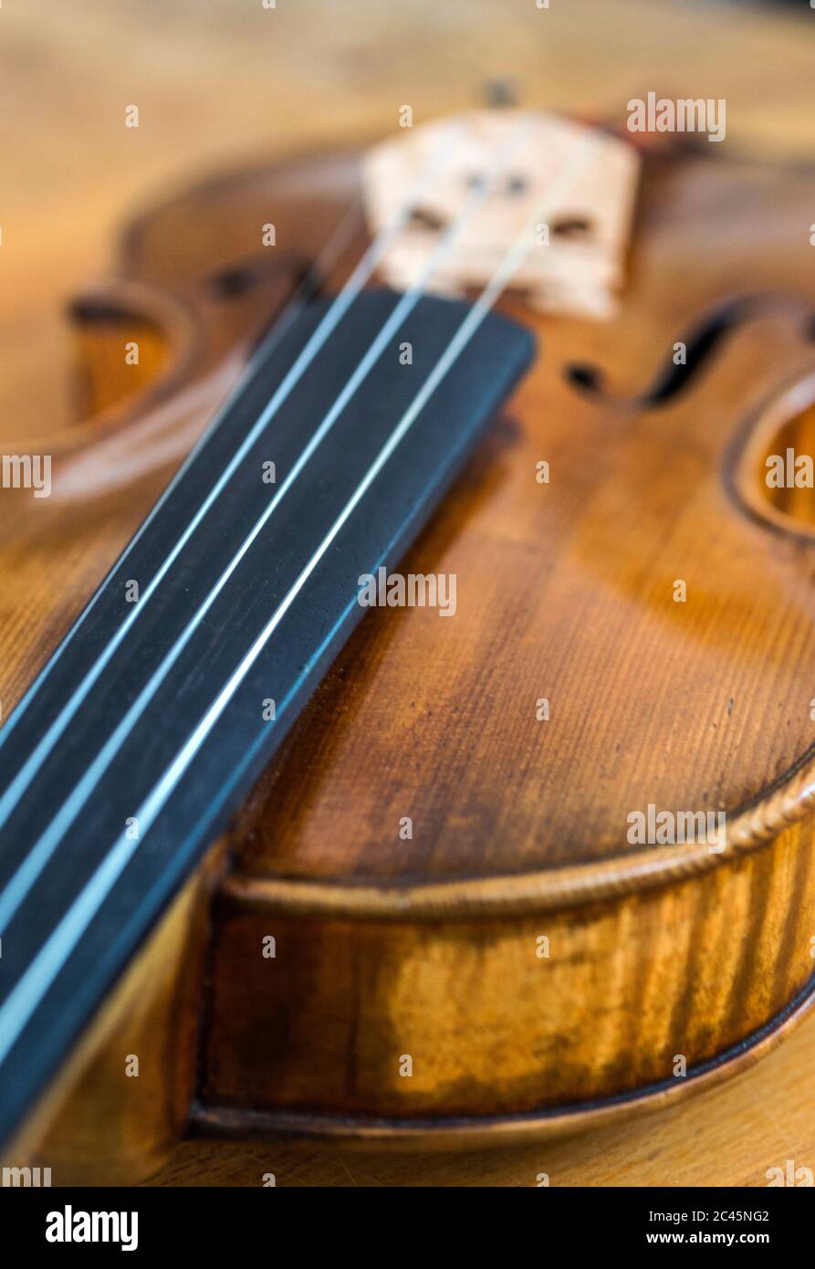 Violin in a violin maker's workshop Stock Photo - Alamy