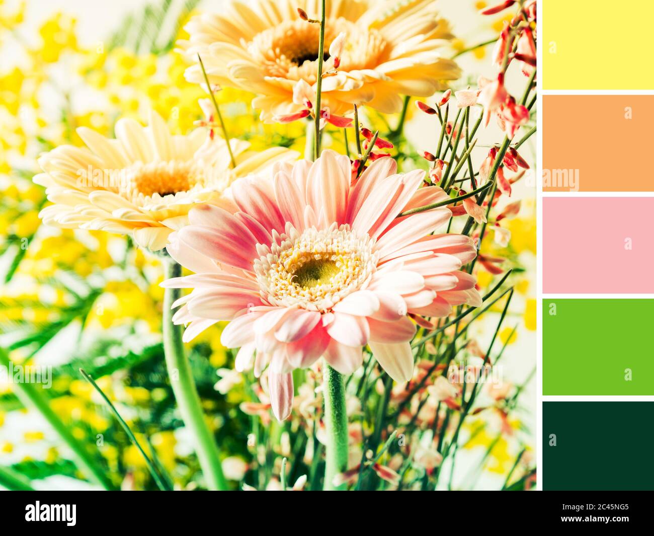 Pastel paint chart hi-res stock photography and images - Alamy
