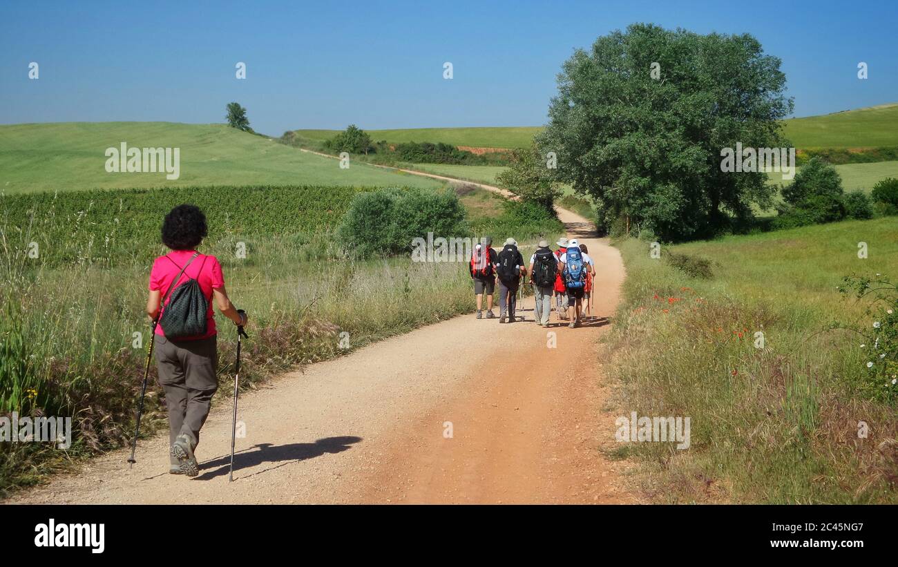 Group of pilgrims walking along the Camino de Santiago in Spain Stock ...