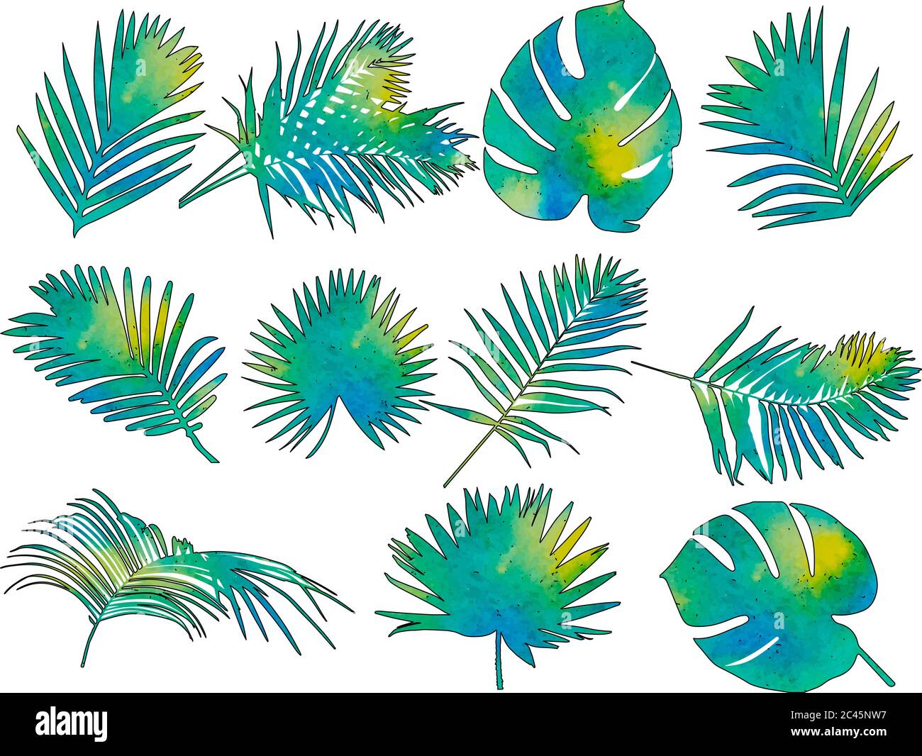 Watercolor branch green leave Cut Out Stock Images & Pictures - Alamy