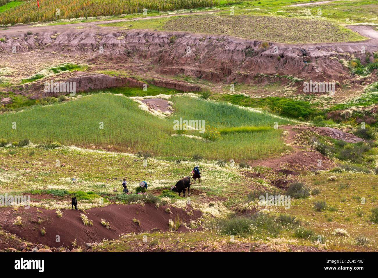 Village of Potolo, Departamento Chuquisaca, Municipio Sucre, Bolivia ...