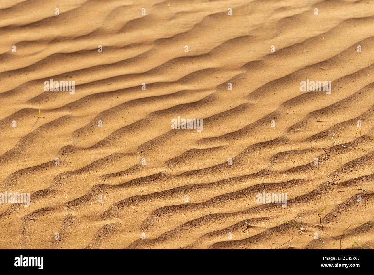 Sand paddocks hi-res stock photography and images - Alamy
