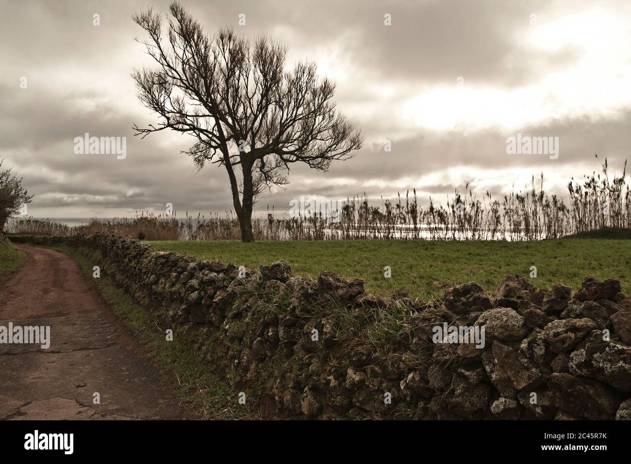 Azores building stone hi-res stock photography and images - Alamy