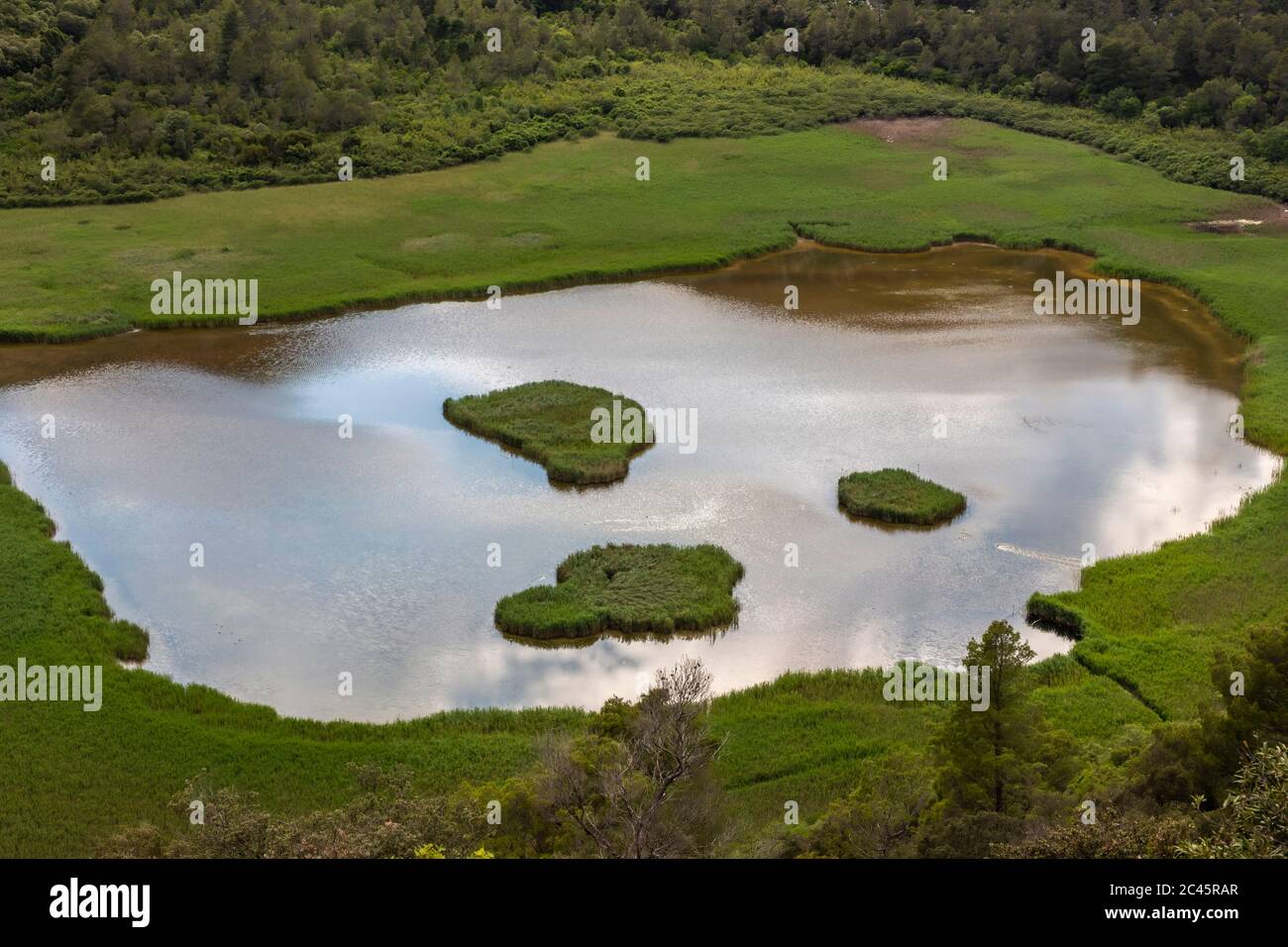 Spring natural water source hi-res stock photography and images - Alamy