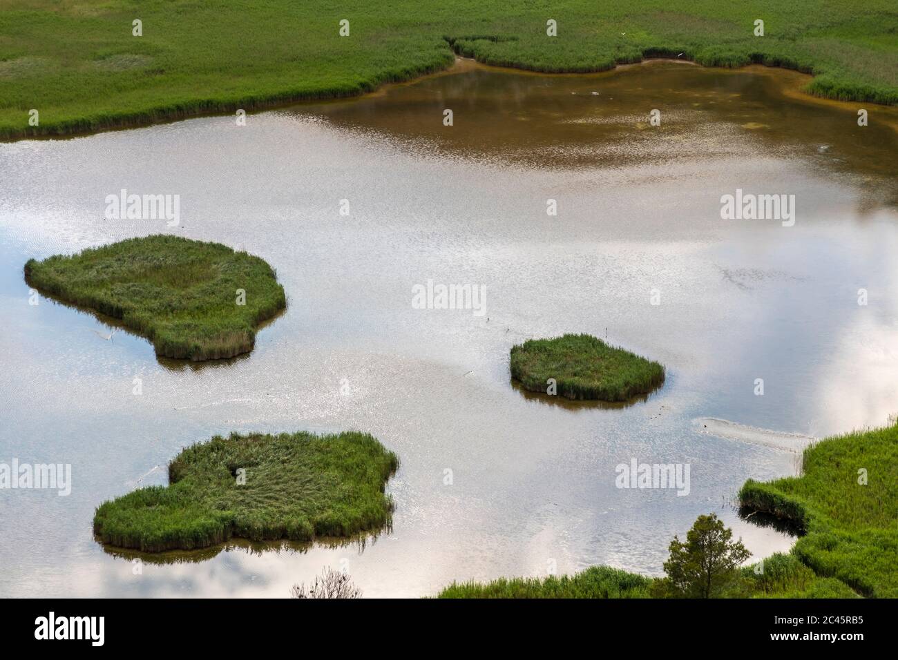 Spring natural water source hi-res stock photography and images - Alamy