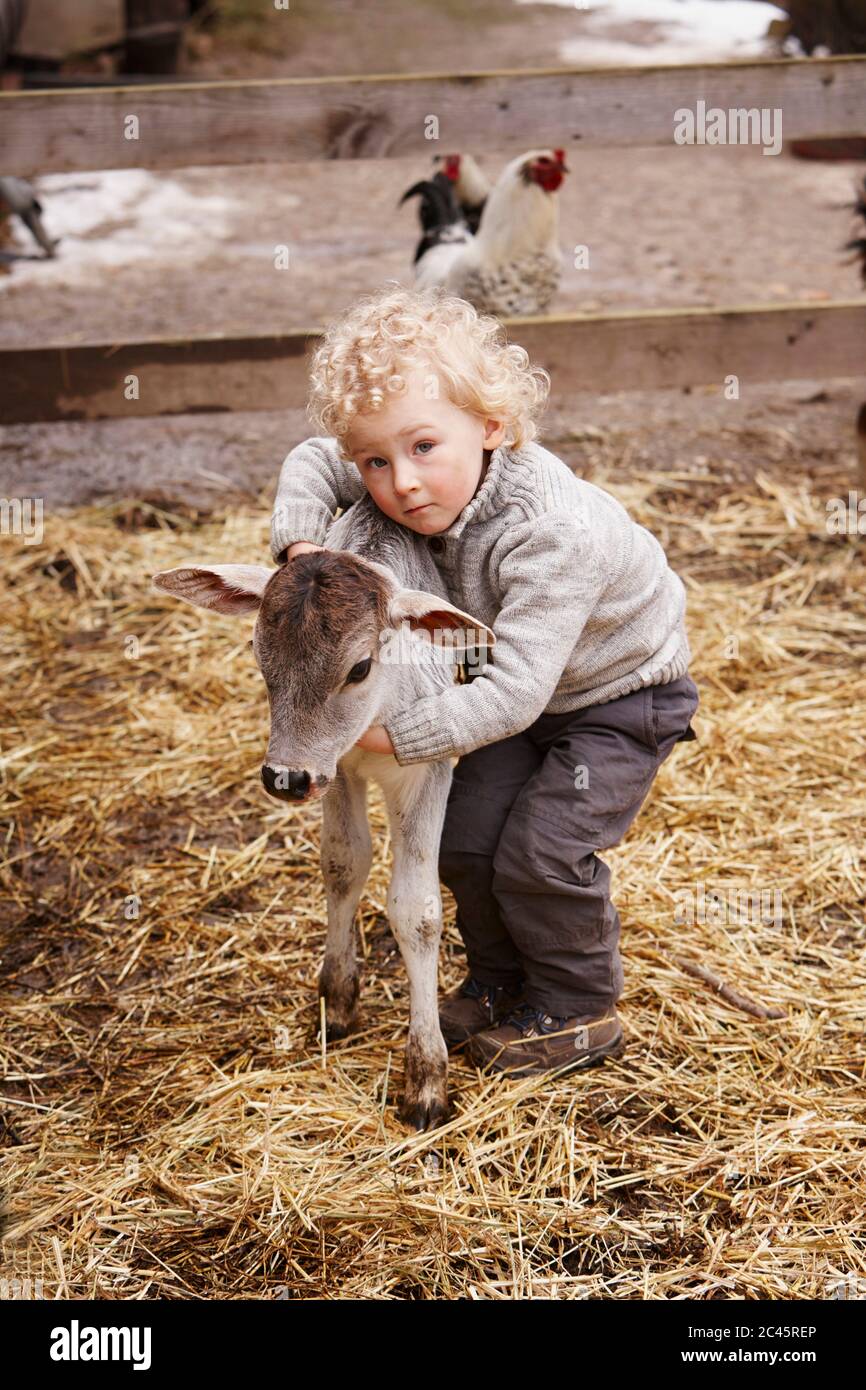 Boy with cow on a farm Stock Photo - Alamy