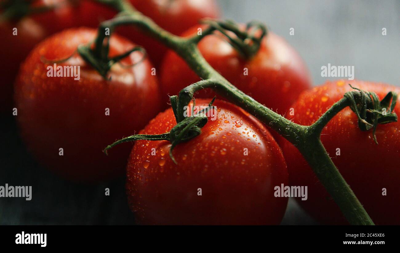 Tomatoes water from above hi-res stock photography and images - Alamy