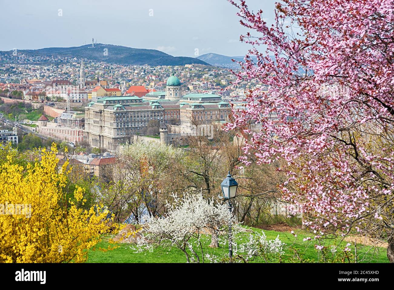 Royal Palace of Buda among blooming trees in springtime, Budapest Stock ...