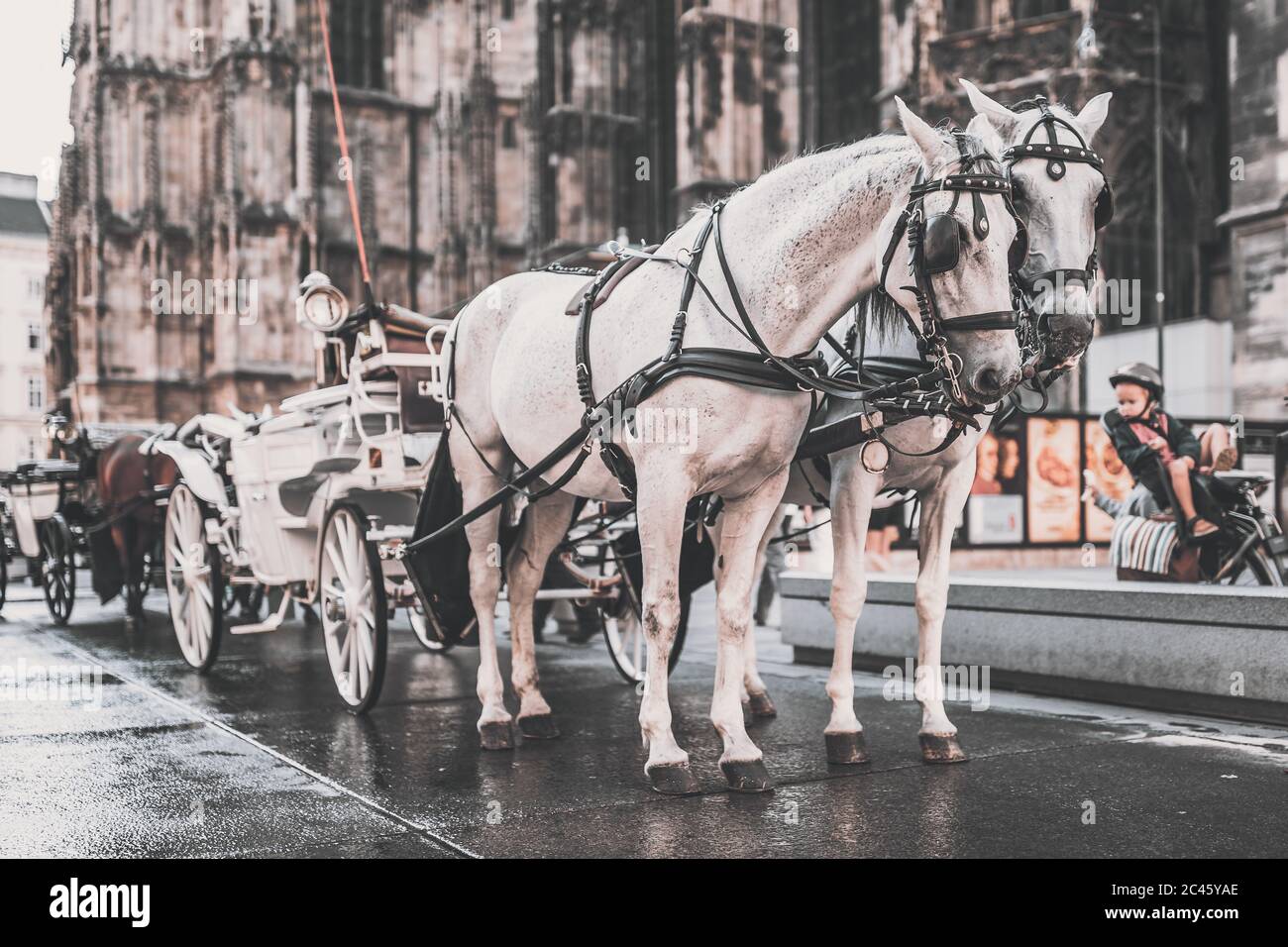 Horse drawn hackney carriage hi-res stock photography and images - Alamy