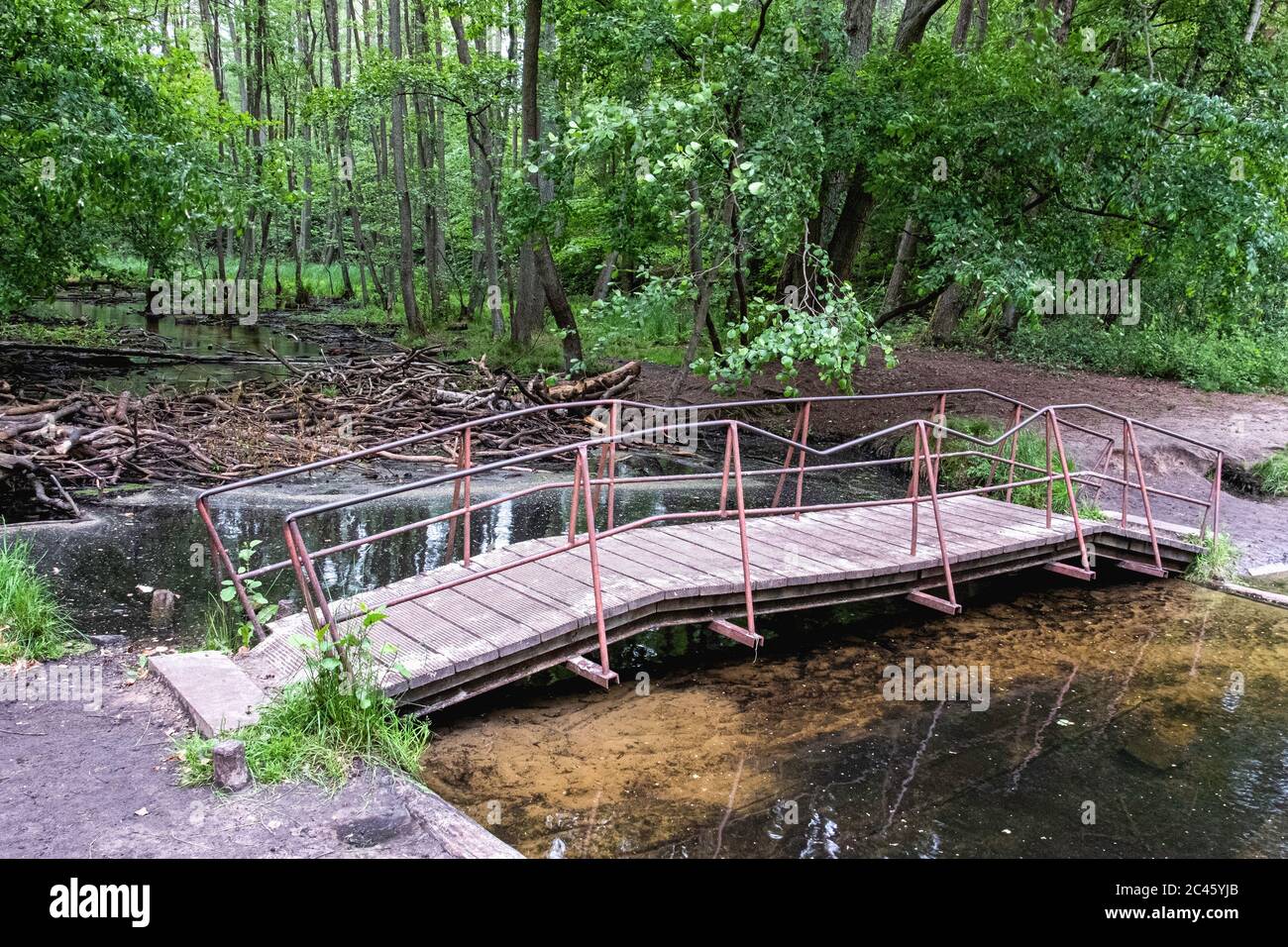 Over beaver dam hi-res stock photography and images - Alamy