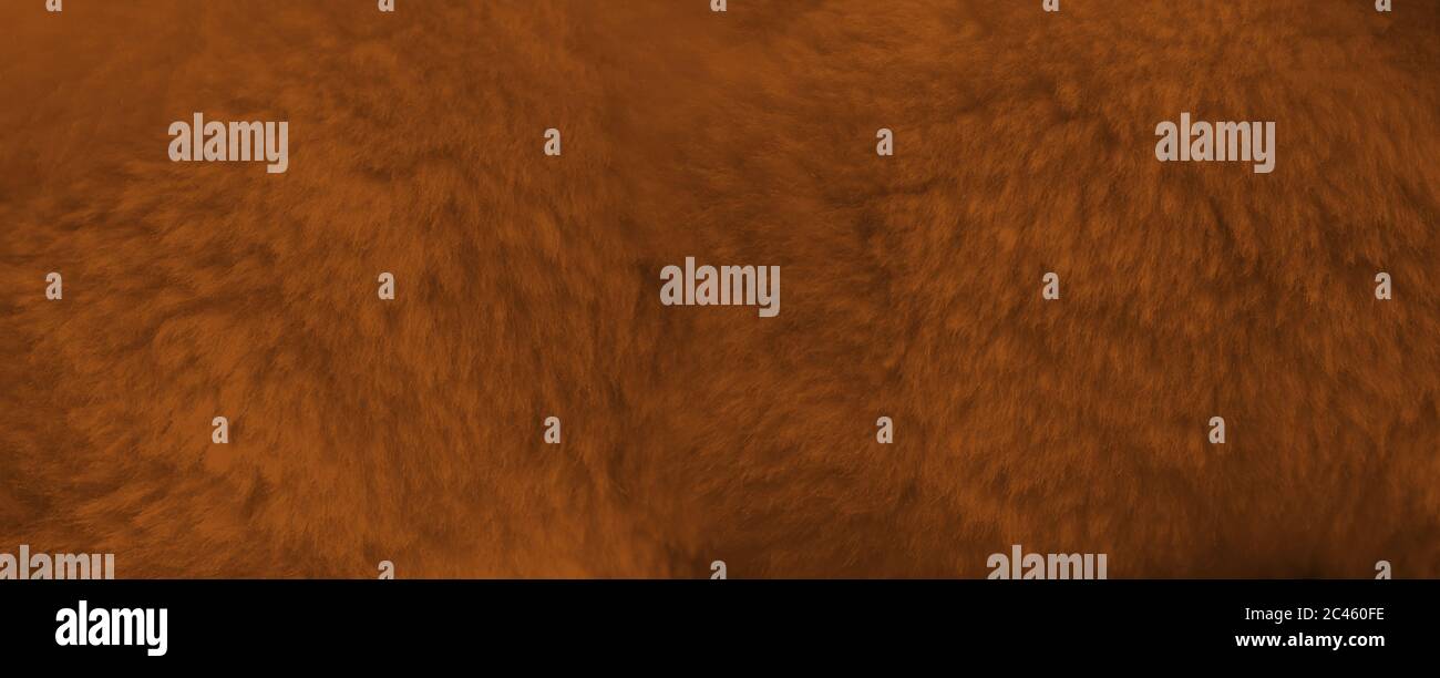 brown fur background close up view. Banner wallpaper Stock Photo - Alamy