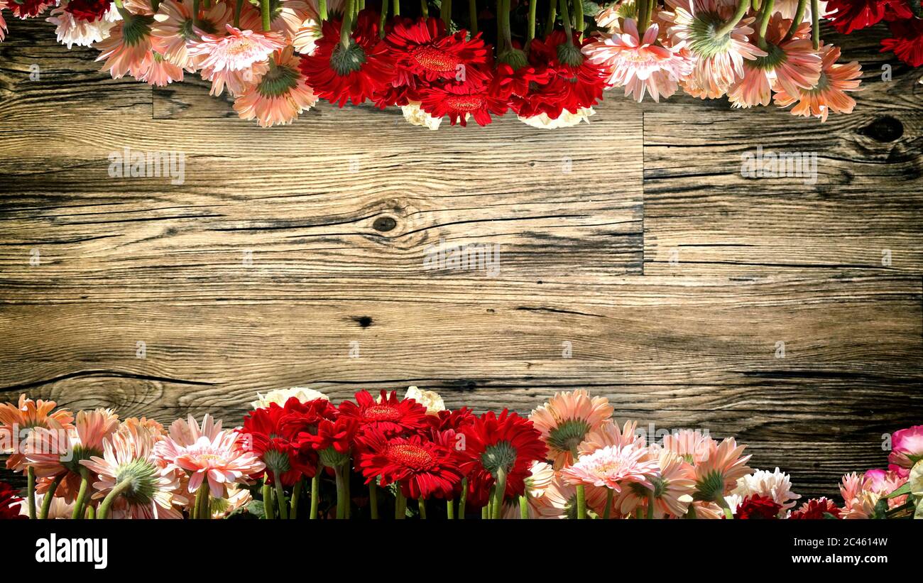 Tainted flower hi-res stock photography and images - Alamy