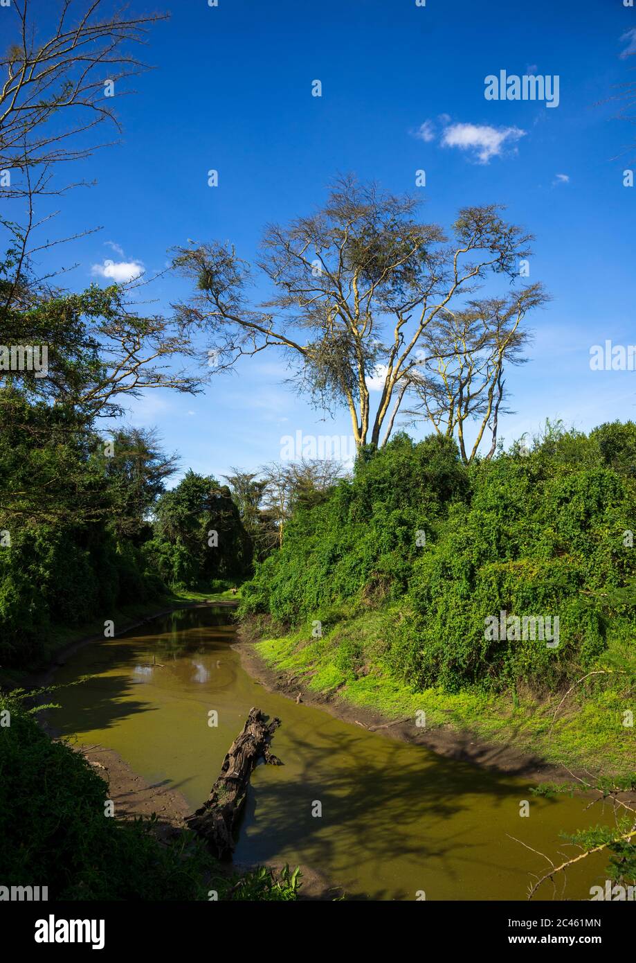 Mt kenya national park, Laikipia county, Laikipia, Kenya Stock Photo ...