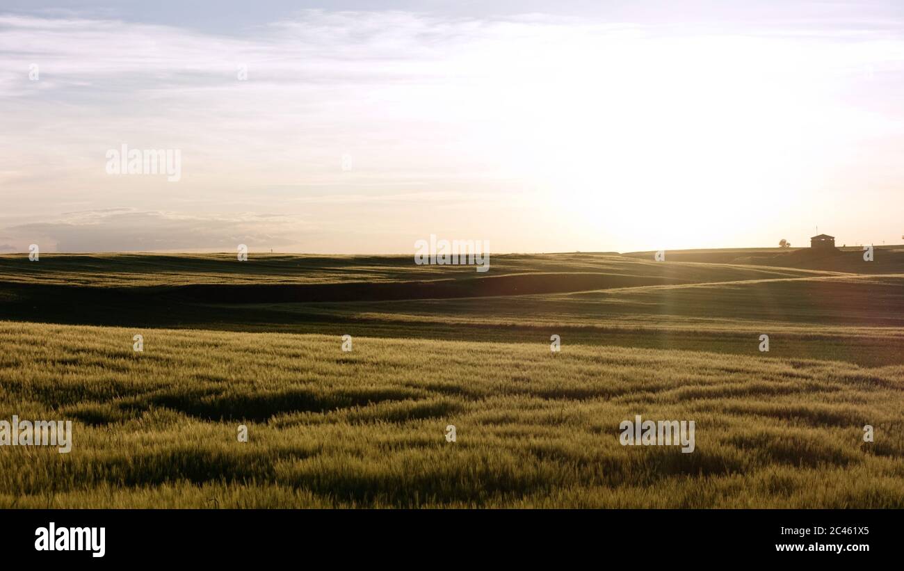 Beautiful scenery of a greenfield captured during the sunrise Stock ...