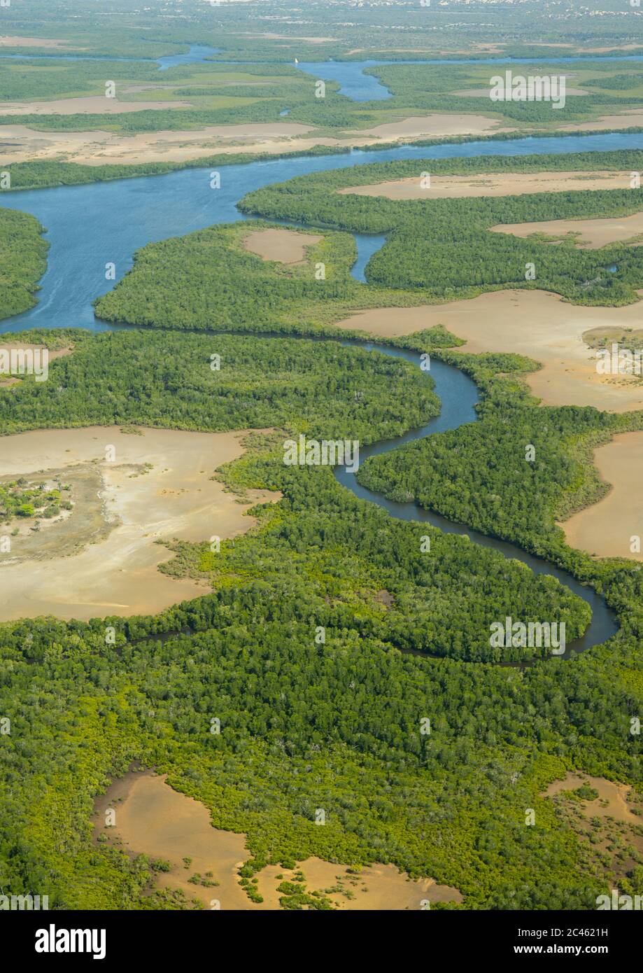 Mangrove near the sea, Lamu county, Lamu, Kenya Stock Photo - Alamy