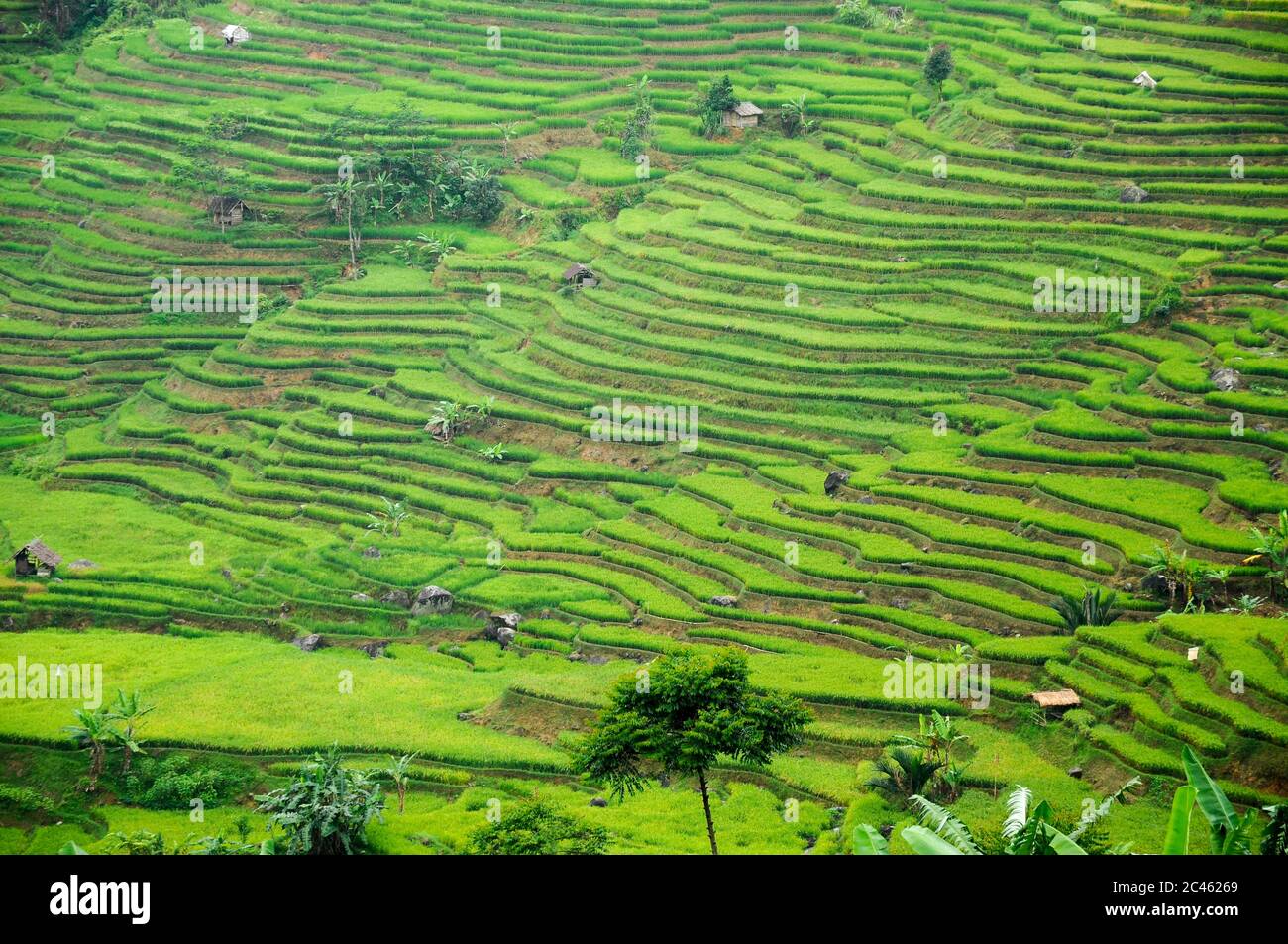 Harrowing environment hi-res stock photography and images - Alamy
