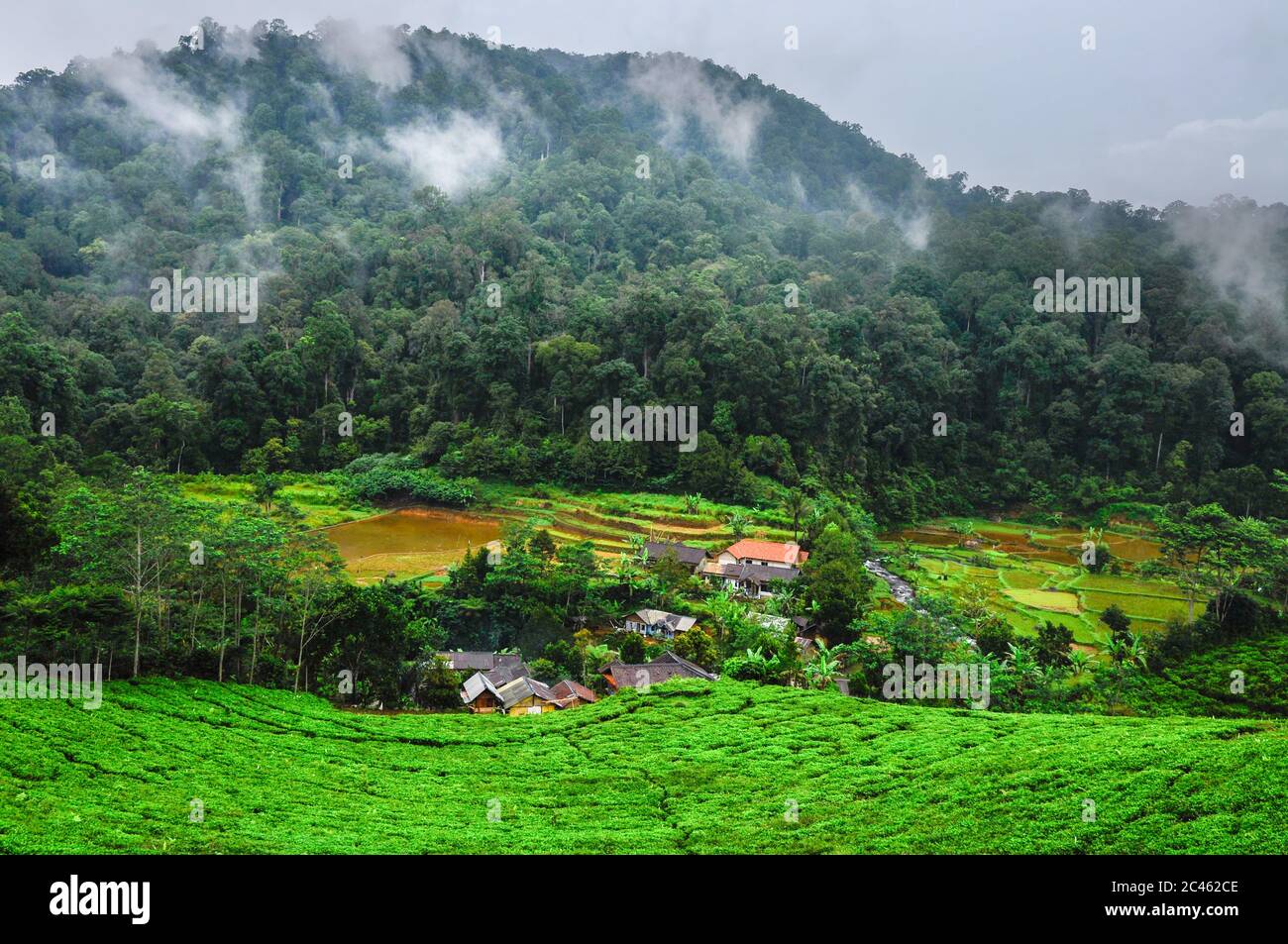 Rural mountain little village in the bottom of the valley with tea ...
