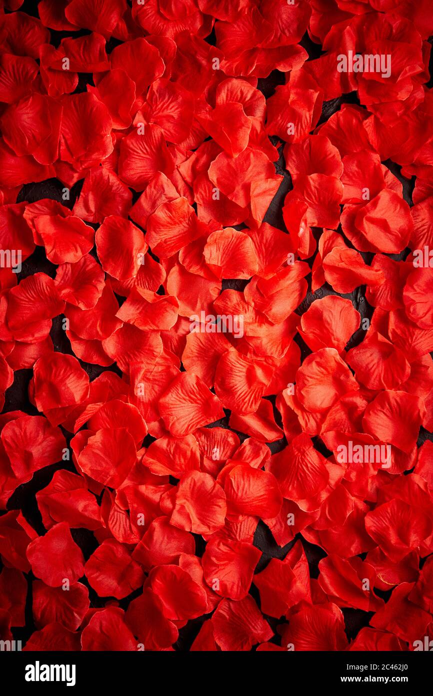 Background of beautiful red rose petals. Top view Stock Photo - Alamy