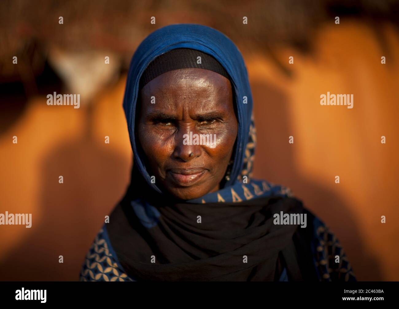 Boran kenya hi-res stock photography and images - Alamy