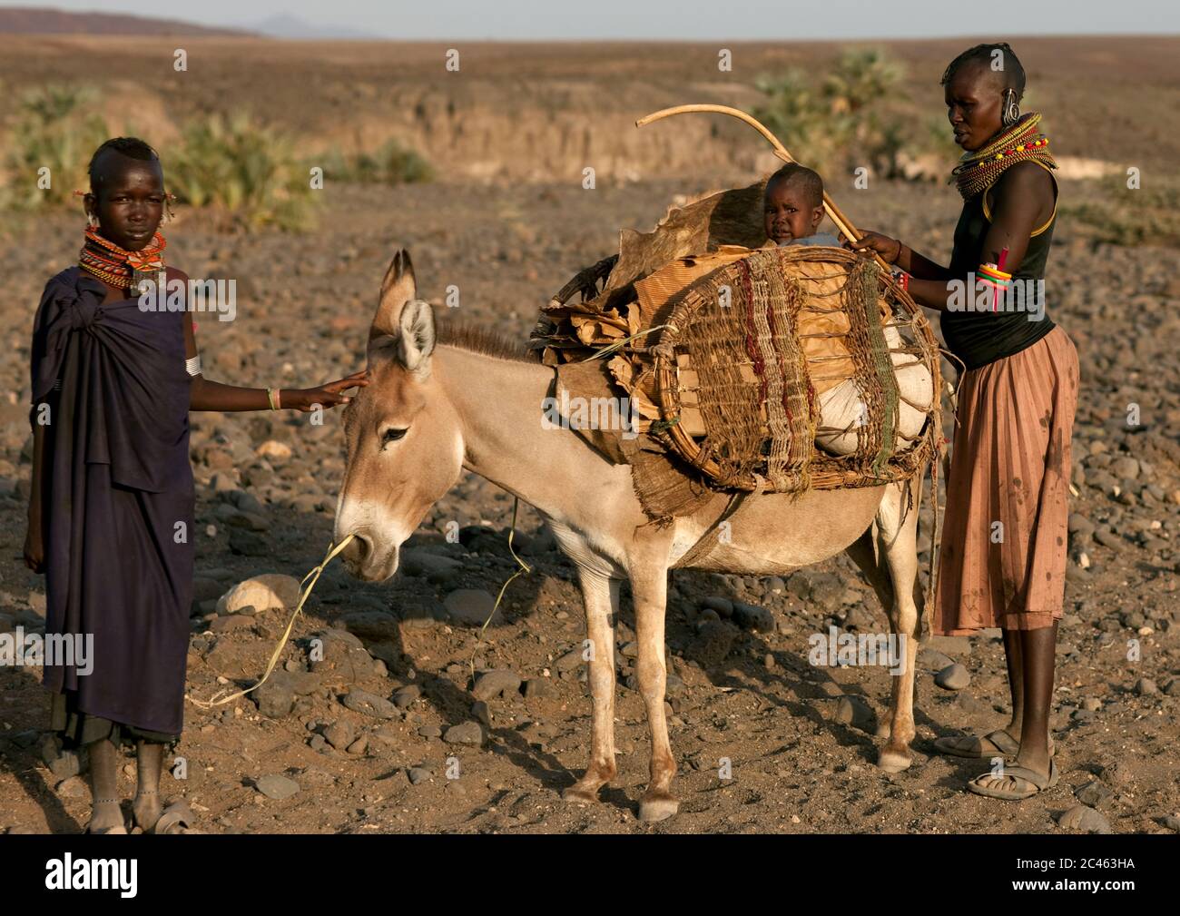 Turkana women with their donkey carrying a baby, Turkana lake ...
