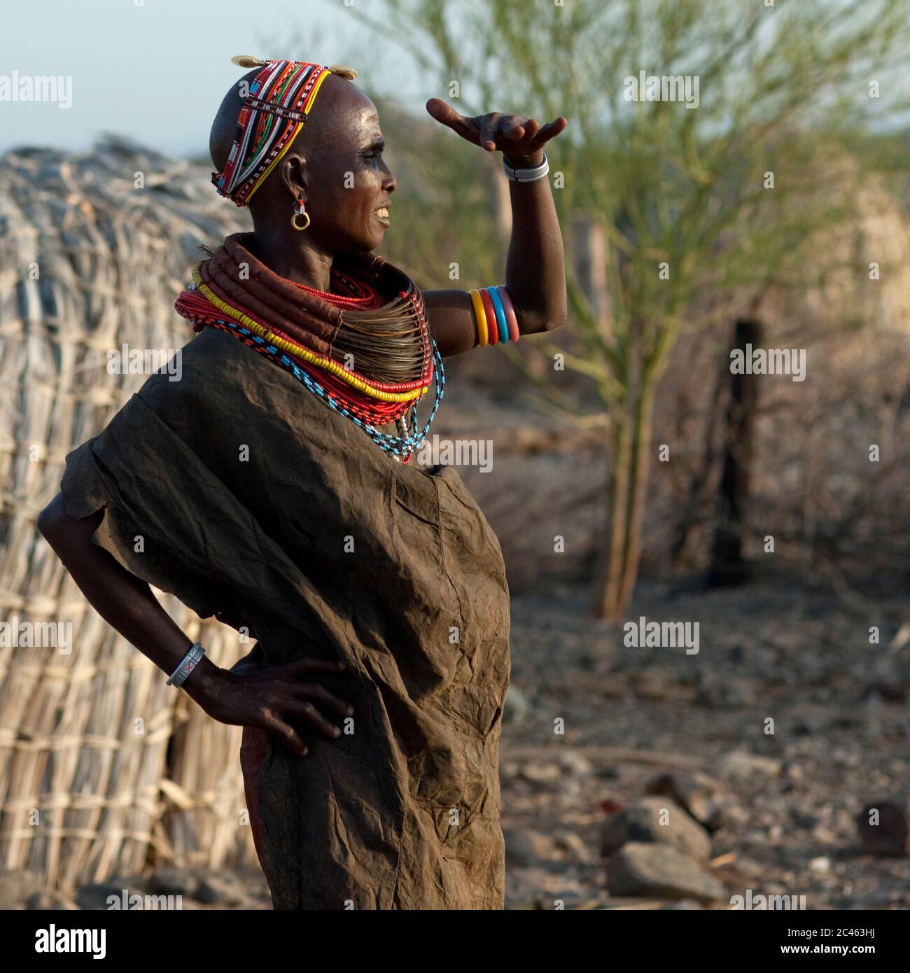 Rendille tribeswoman wearing traditional headdress and mpooro engorio ...