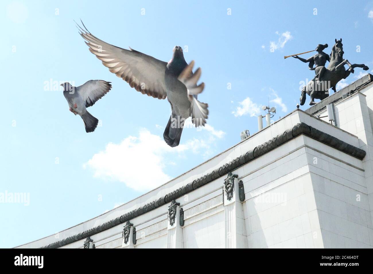 Doves Of Peace High Resolution Stock Photography and Images - Alamy