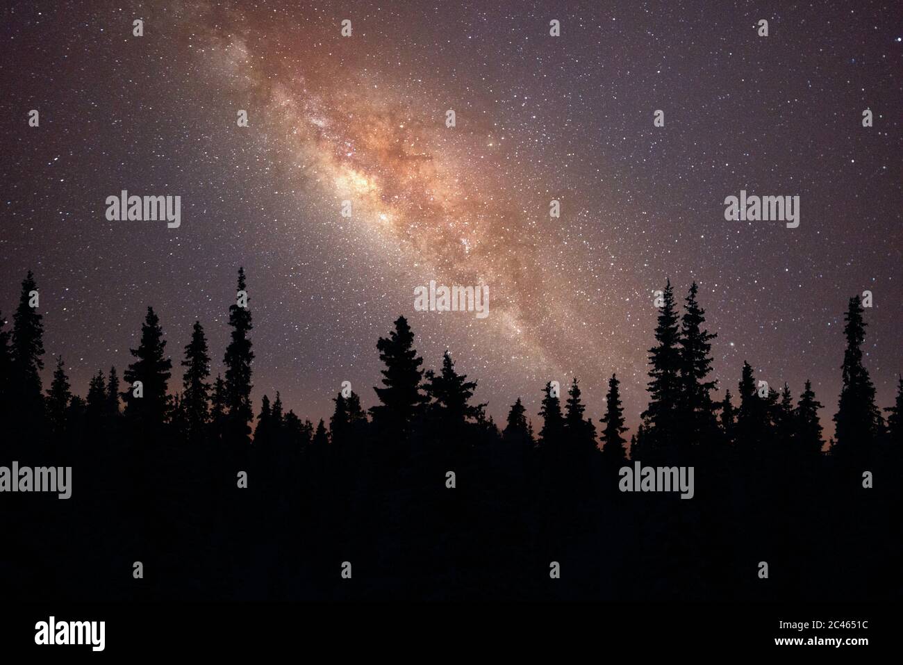 Milky way over silhouette of trees Stock Photo - Alamy