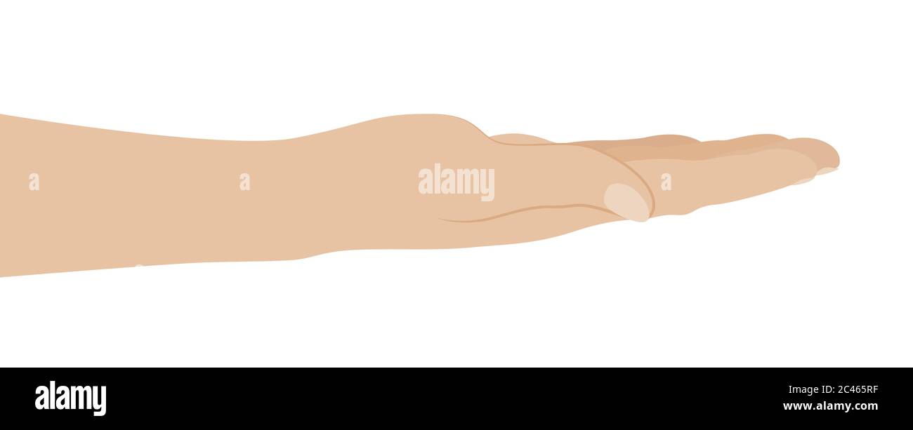 Woman hand on white background, flat design vector illustration Stock ...