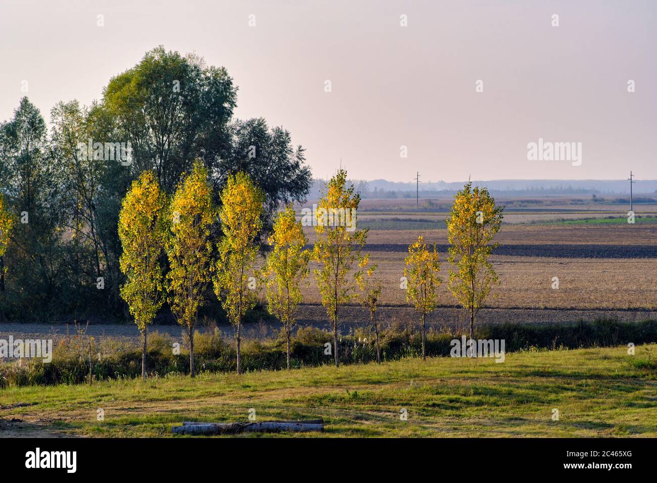 Danube ecosystems hi-res stock photography and images - Alamy