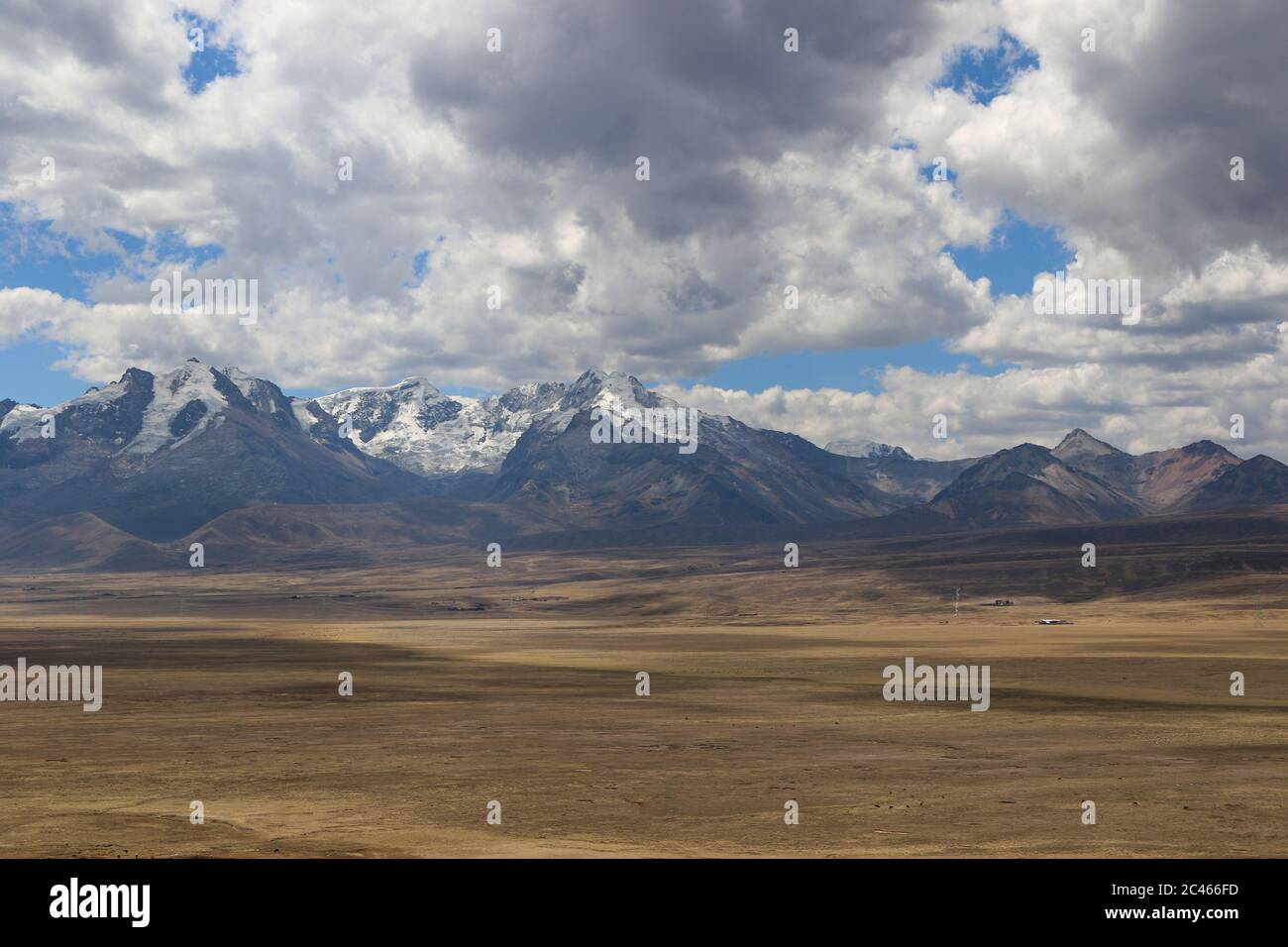 Altiplano steppe hi-res stock photography and images - Alamy