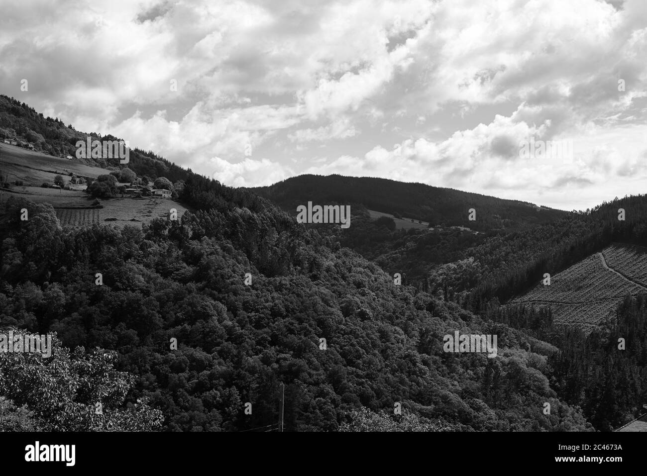 High grass field forest trees Black and White Stock Photos & Images - Alamy