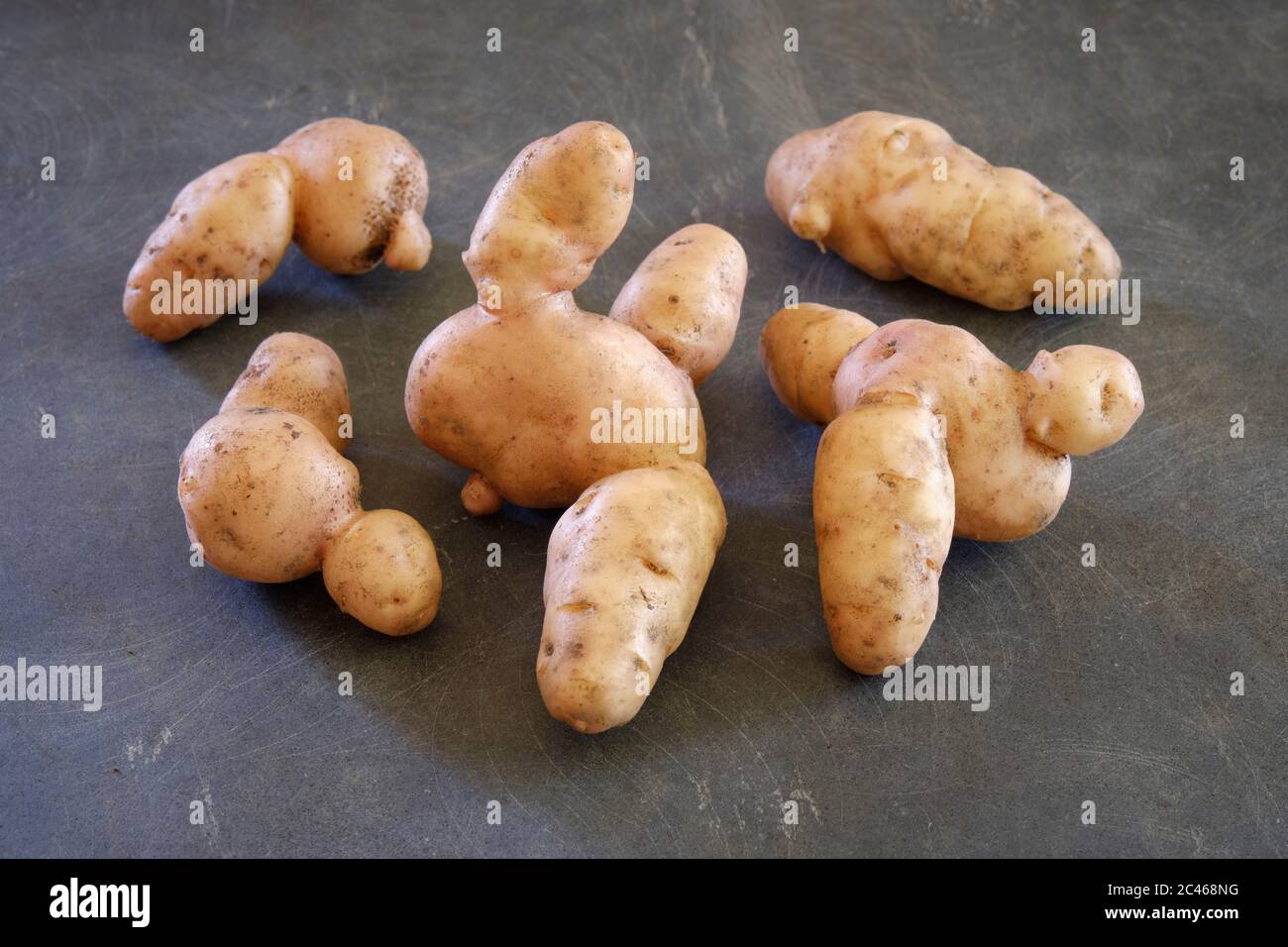Misshapen Potato High Resolution Stock Photography and Images - Alamy