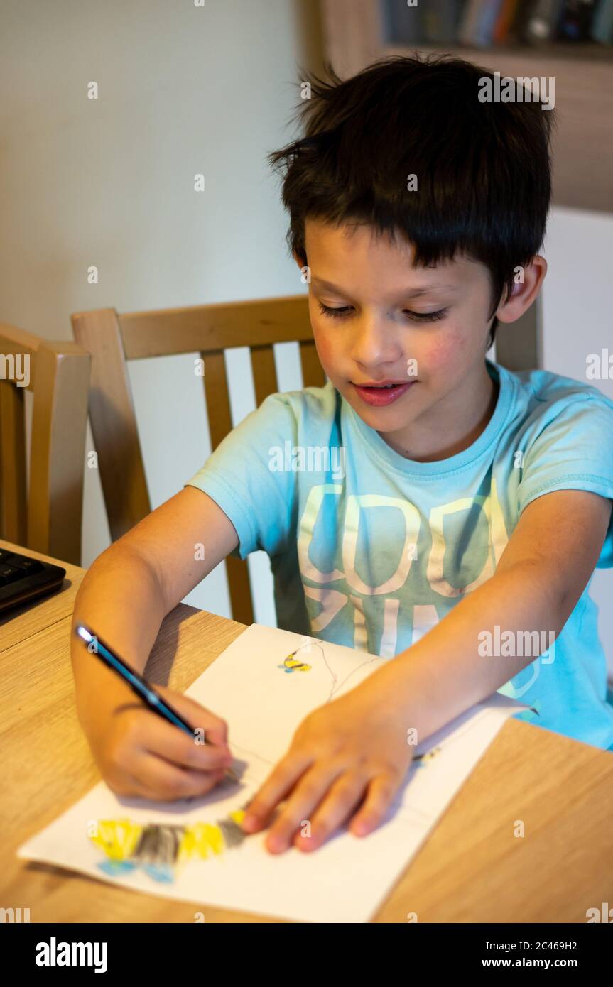 POZNAN, POLAND - May 20, 2020: Young boy drawing a bee on a white paper ...