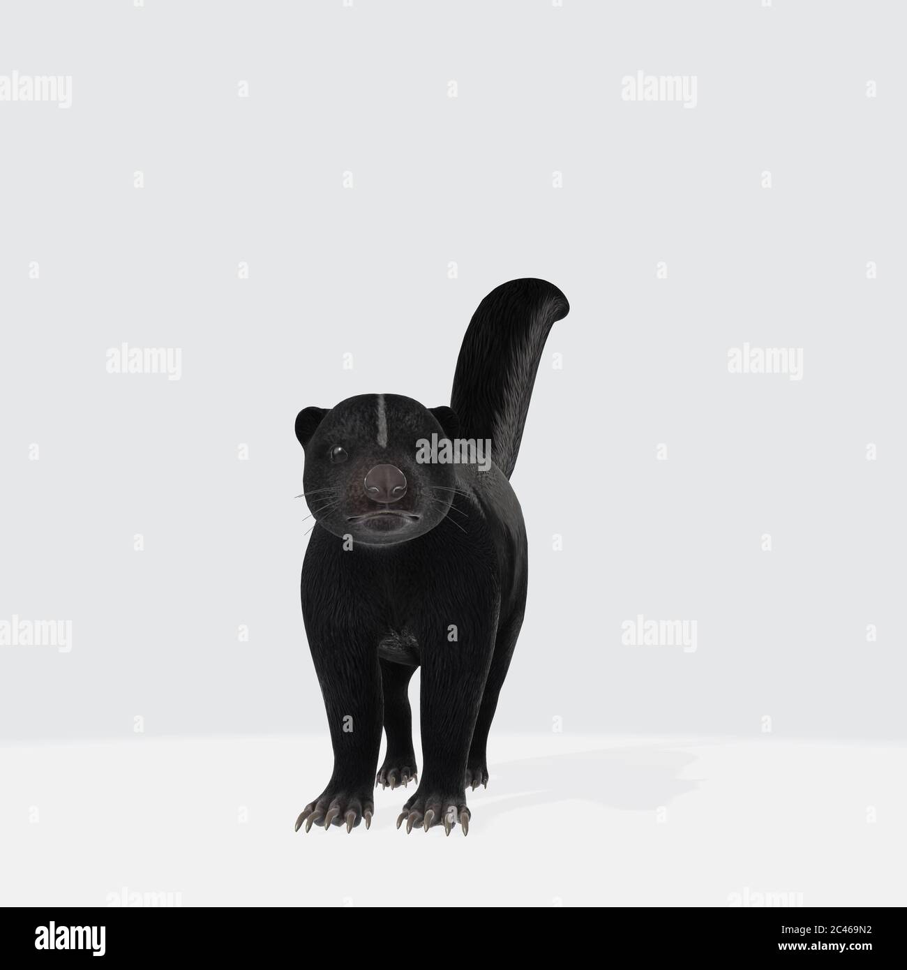 Graphic illustration of 3D rendered black mongoose isolated on the ...